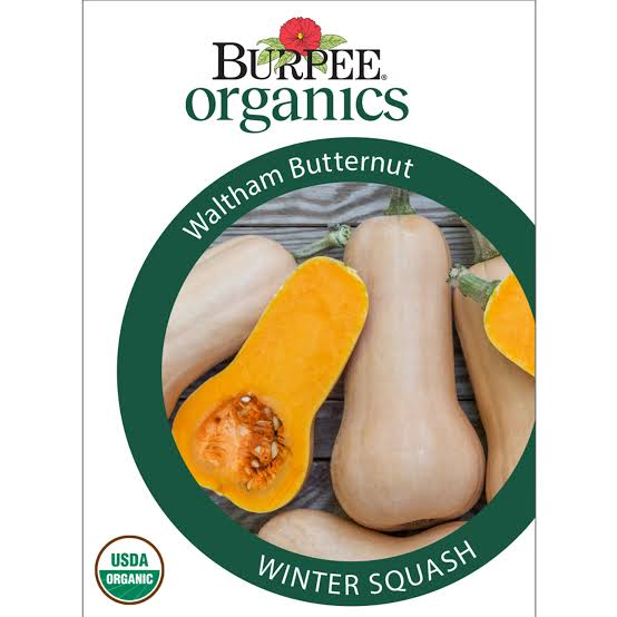Burpee Organics Winter Squash 'Waltham Butternut' Seeds - LGC – Savvy ...