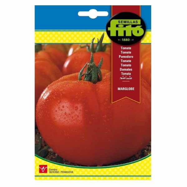 Semillas Fito Marglobe Tomato Seeds - Savvy Gardens Centre