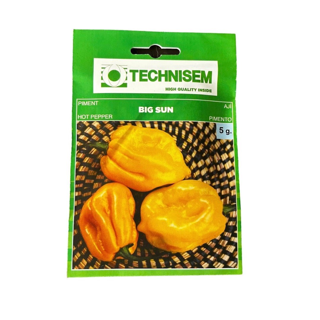 Technisem Hot Pepper Big Sun Seeds - Savvy Gardens Centre